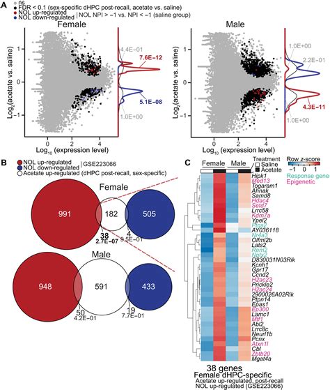 Acetate Enhances Long Term Memory In Female Mice By Sex Context And