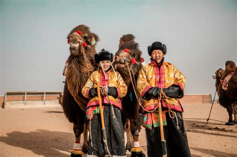 ФОТО Галбын говийн улаан тэмээний баяр Өмнөговь аймгийн Ханбогд суманд боллоо Isee Mn