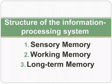 Information Processing Theory Pptx