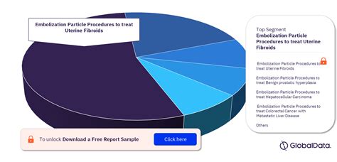 North America Embolization Particle Procedures Market By Segments And North America Embolization Particle Procedures Market By Segments And