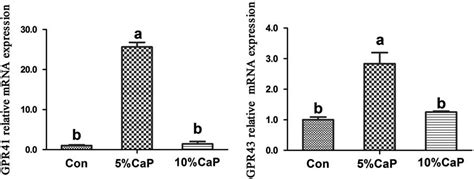 Calcium Propionate Supplementation Improves Development Of Rumen Epithelium In Calves Via
