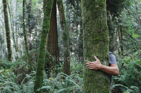 Man Hugging Tree King County Day Stock Photo 124355014