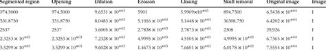 Comparison The Results Of Calculating Tumour Area Mm 2 With