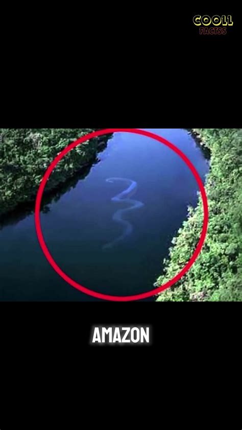 Monster Yang Membuat Sungai Amazon Anaconda Youtubeshorts Shorts Youtube