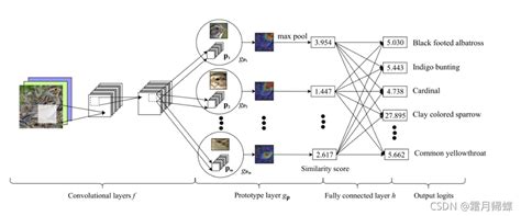 【学习笔记】xprotonet和protonet：可解释的图像分类 csdn博客