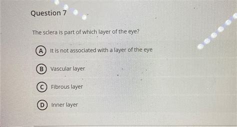 Solved Question 7the Sclera Is Part Of Which Layer Of The