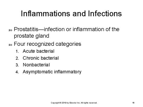 Chapter 19 Reproductive System Disorders Copyright 2019 By