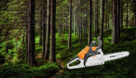 Stihl Ms