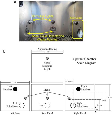 Illustration Of The Operant Chamber Used To Measure Performance In The
