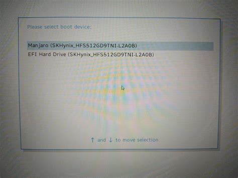 dual boot issues with 2 drives configuration support manjaro linux