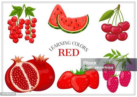 빨간 딸기와 과일 세트 빨간 건포도 수 박 체리 석류 딸기 딸기 벡터 일러스트입니다 0명에 대한 스톡 벡터 아트 및 기타 이미지