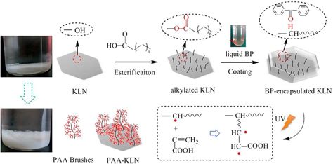 Phyllosilicate Clay Minerals Principles And Applications