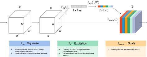 The Illustration Of Squeeze And Excitation Se Blocks Download