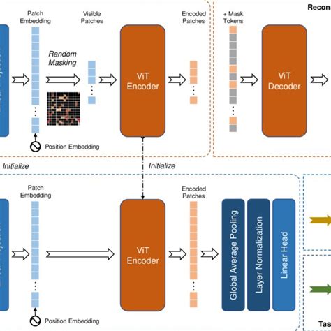 The Schematic Pipeline Of The Proposed Framework It Consists Of Two Download Scientific