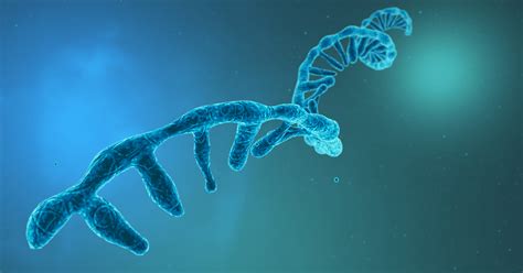 Rna Sequencing With Kinnex Kits Transforms University Of Southampton