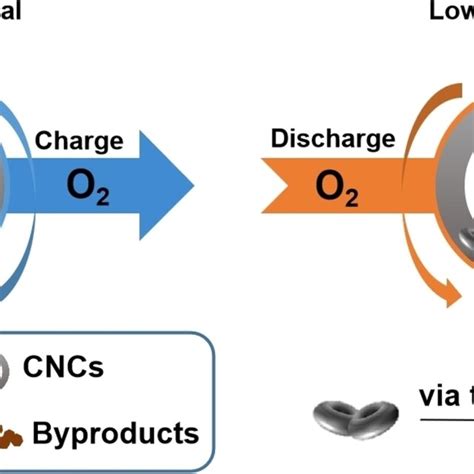 A Schematic For Li−o2 Batteries With And Without Licl In The Download Scientific Diagram