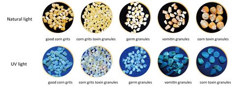 Food Optical Sorting Machine For Sorting Aflatoxins China Optical
