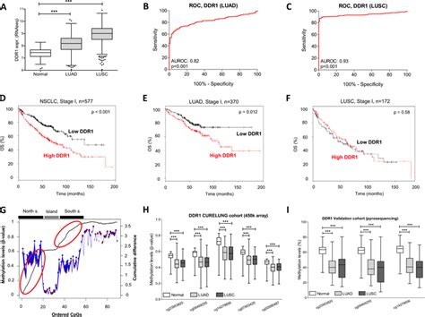 A Expression Of Ddr1 Was Higher In Nsclc Than In Normal Lung Tcga Download Scientific