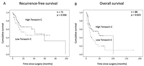 Kaplan Meyer Survival Curve For Recurrence Free Survival A And