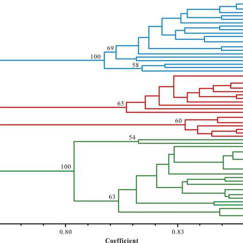 Dendrogram Of The Three Species Of Orinus Generated By Unweighted Pair