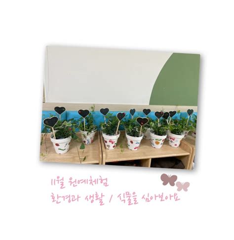 경기도 시흥 병설유치원 찾아가는 원예체험 누리과정기반 원예키트 환경과 생활 식물심기 프로젝트수업 식물이 살아가는데 필요한 것을 알아보아요 네이버 블로그