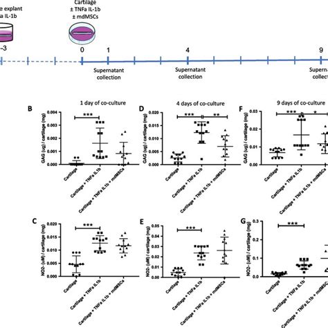 Secreted Proteins Identified By Mass Spectrometry With Silac Method Download Scientific