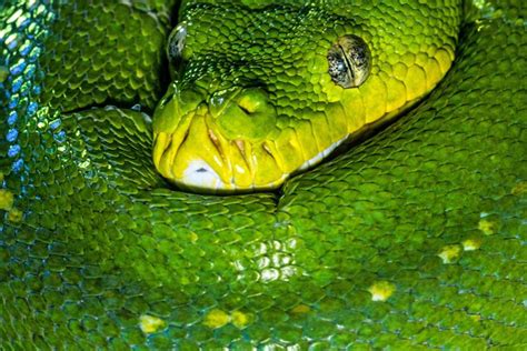 Gründe Für Python · Data Science Architect