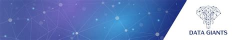 Data Giants Linkedin