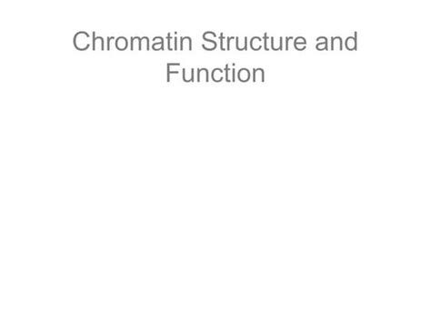 Structure And Organization Of Chromatin Doc
