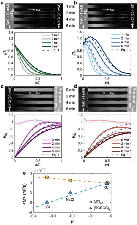 Figure 1 From Diffusiophoresis Promotes Phase Separation And Transport Of Biomolecular