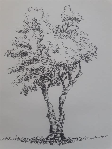 Gab Art Trees Art Drawing Trees Drawing Tutorial Nature Drawing