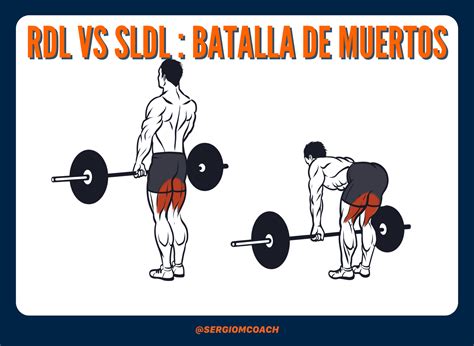 Peso Muerto Rumano Vs Piernas RÍgidas Diferencias Rdl Vs Sldl