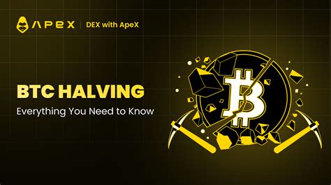 The Ultimate Guide To Bitcoin Halving ApeX Blog