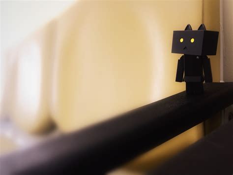 무료 이미지 표 빛 검정색과 흰색 화이트 고양이 색깔 상자 검은 가구 조명 장난감 인테리어 디자인 닫다 생기 그림 외로움 소원 인물 모양