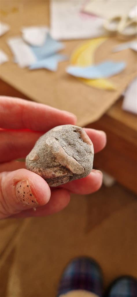 Help To Identify Uk R Fossils