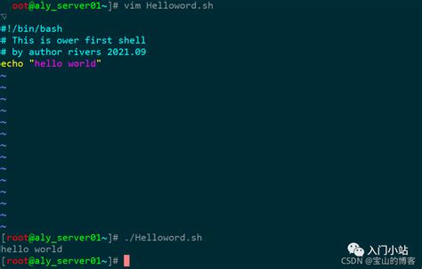 实战篇！linux Shell 脚本详解（非常详细）零基础入门到精通，收藏这一篇就够了shell脚本 Csdn博客