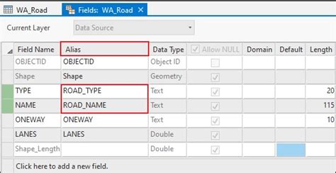 Problem The Modified Field Aliases Are Not Preserved In Arcgis Pro