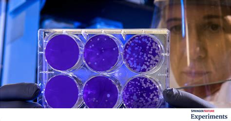 Organisms And Cell Lines On Springer Nature Experiments Research Communities By Springer Nature