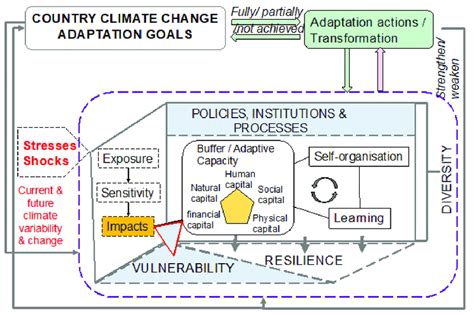 Conceptual Framework Used In The Analysis Download Scientific Diagram
