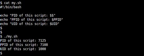 How To Get The Process ID PID Of A Shell Script Zyxtech