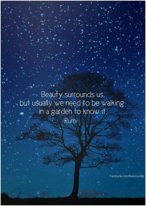Pin On Rumi Hafiz Saadi And Sufi Quotes And Poetry ღ Rumi Quotes