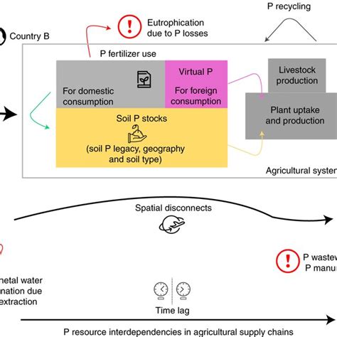 Conceptual Framework Illustrating P Telecoupling In The Global Food