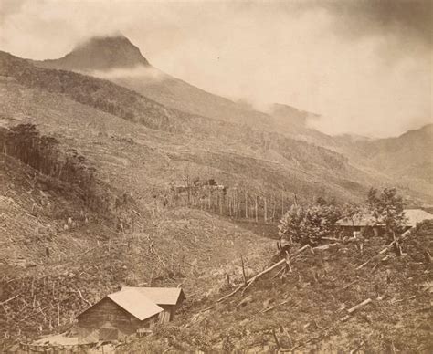 Ancient Ceylon Country Roads Road World