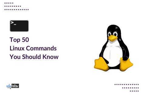 Top 50 Linux Commands You Should Know Infovistar