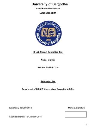 C Programming Lab 1 PDF