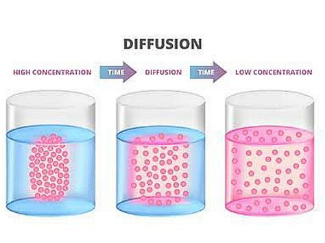 Differences Between Osmosis And Diffusion Bscholarly
