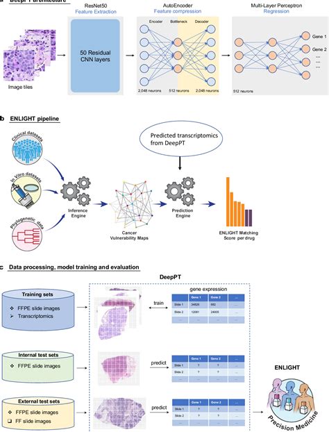 Figure 1 From Synthetic Lethality Based Prediction Of Cancer Treatment
