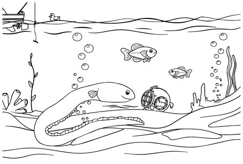 20 Eel Coloring Pages Free Printable Pdf And Online Coloring