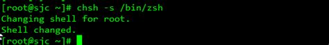 更改linuxshell类型如何改变shell程序 Csdn博客