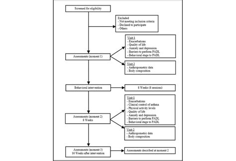 Study Design Padl Physical Activity In Daily Life Download